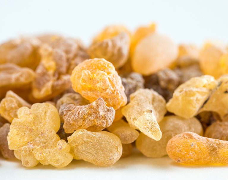 Boswellia Serrata: Extract for Joint Health and Inflammation