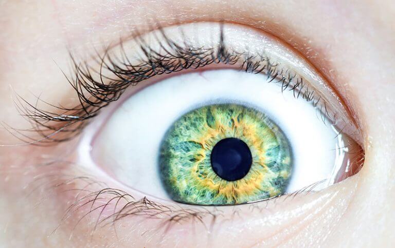 Omnixan 3R,3’R Zeaxanthin-Eye Health Ingredient | OmniActive