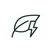 Rednite Beetroot Concentrate Powder: Nutrition for Health