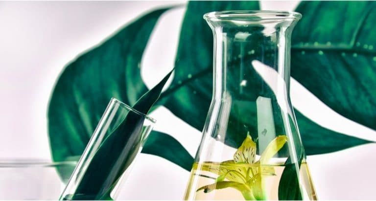 About Us: Innovative Natural Ingredients